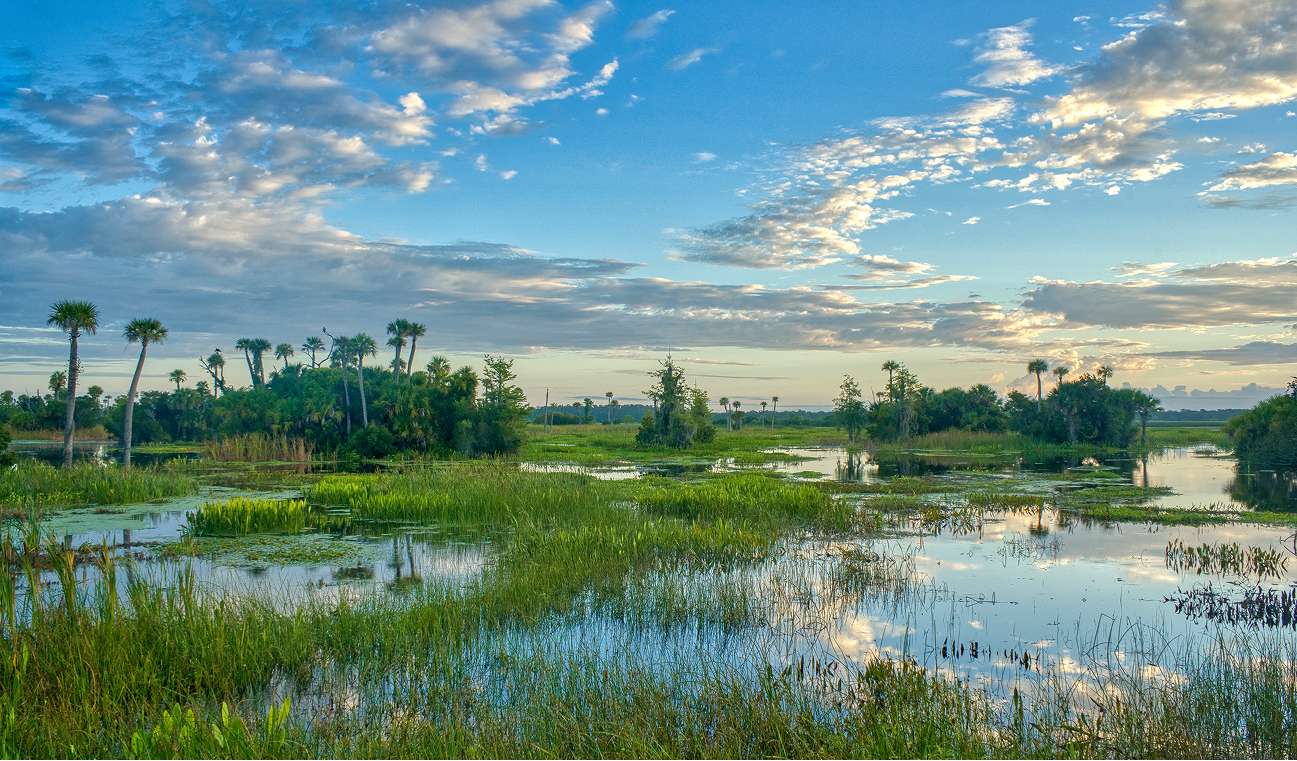 Florida Land Brokers | Land Real Estate Agents Florida