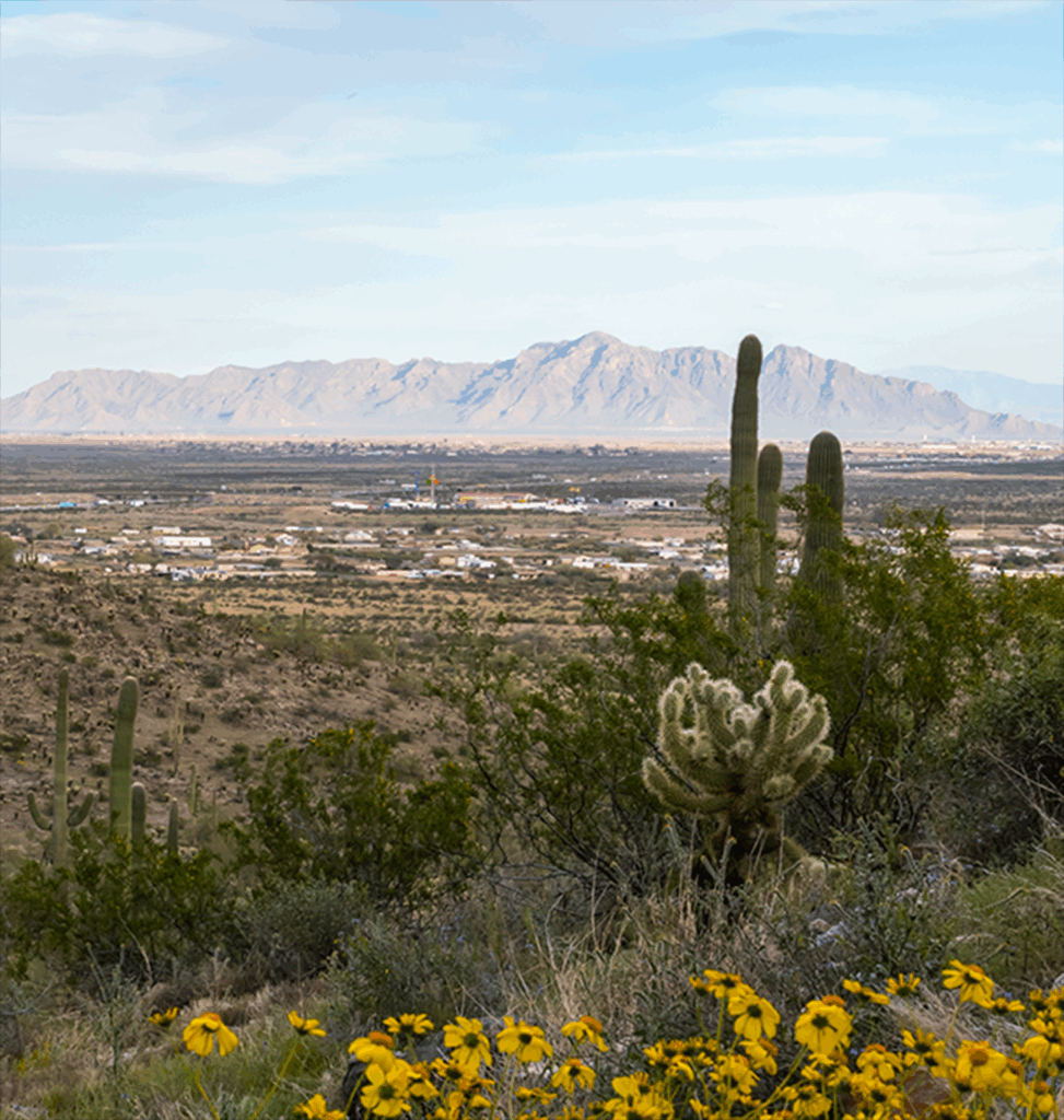 Arizona Land Brokers | Land Real Estate Agents Arizona