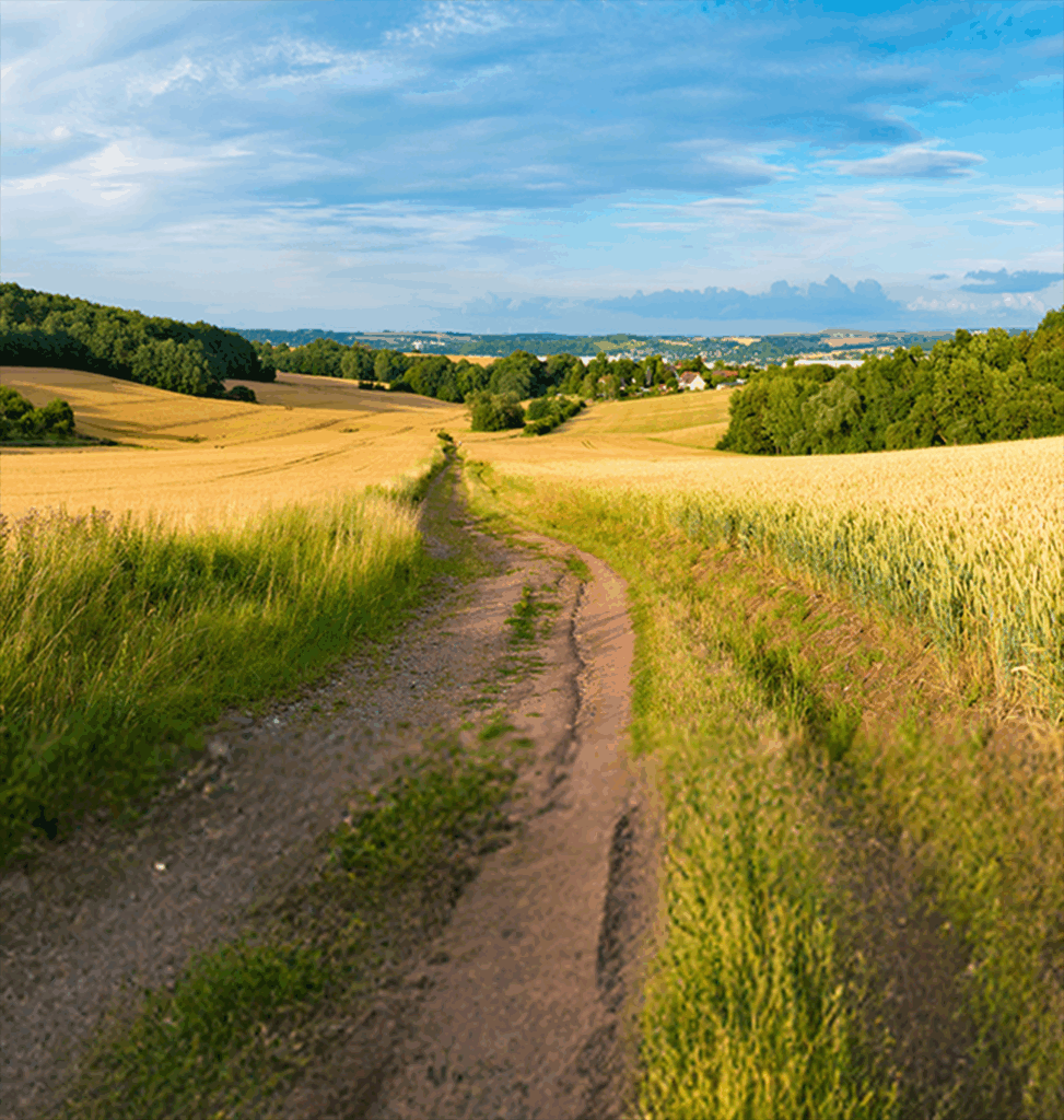 Kansas Land Brokers | Land Real Estate Agents Kansas